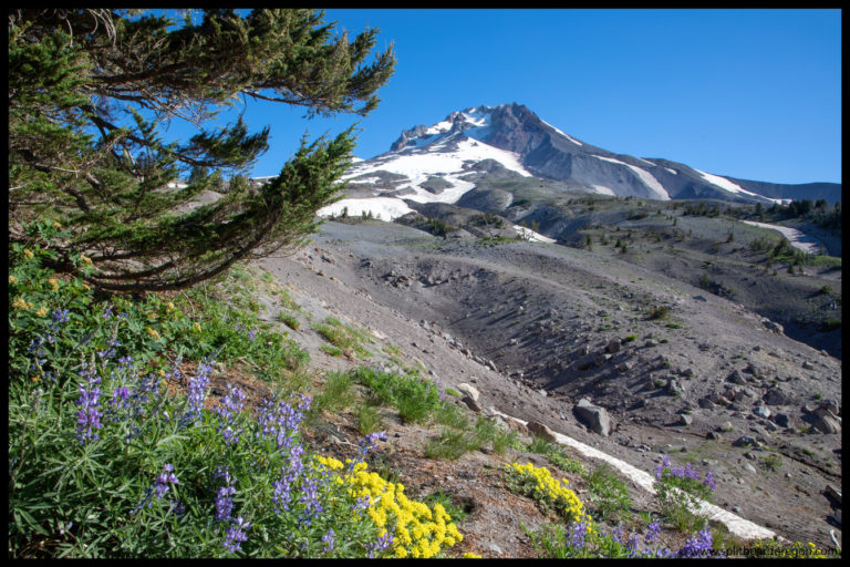July 2, 2020 – Mt Hood, Zigzag Glacier – Splitboard Oregon