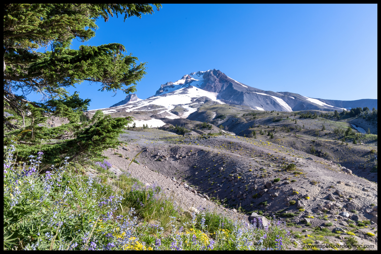 August 5, 2022 – Mt Hood, Zigzag & Palmer Snowfields – Splitboard Oregon